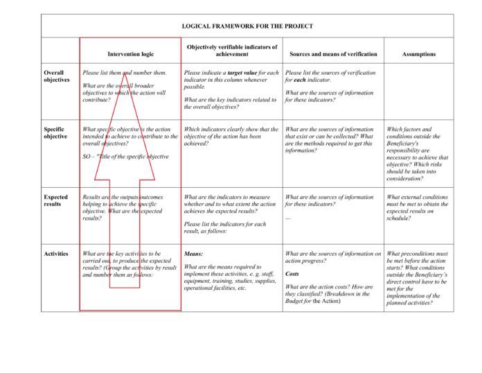 A Comprehensive Guide to the Logical Framework Matrix: Understanding ...